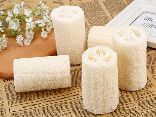 How to Use a Loofah Sponge for The Best Result – GreenLivingLife