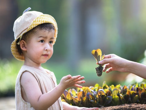 Great Strategies to Teach Your Child to Be Eco-Friendly – GreenLivingLife