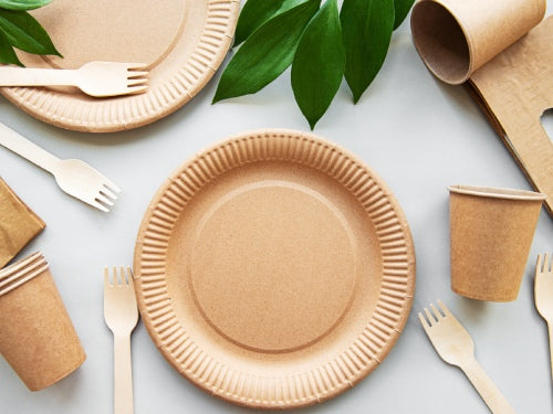 Benefits of Using Biodegradable Disposable Utensil / Eco Friendly ...