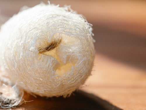 How to Use Natural Loofah for the Best Results – GreenLivingLife