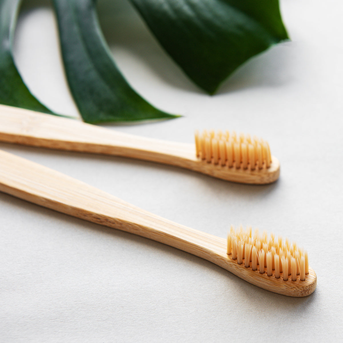 Best Ways to Care for your Bamboo Toothbrush: Actionable Steps ...