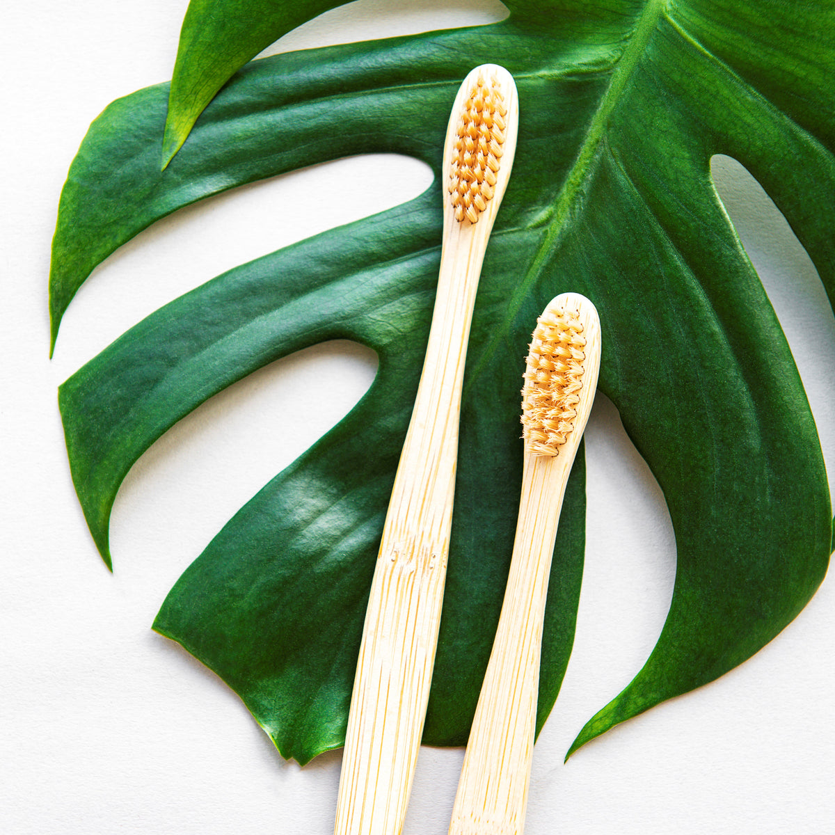 Bamboo Toothbrushes, Eco Friendly Toothbrush, Soft Bristle Toothbrush ...