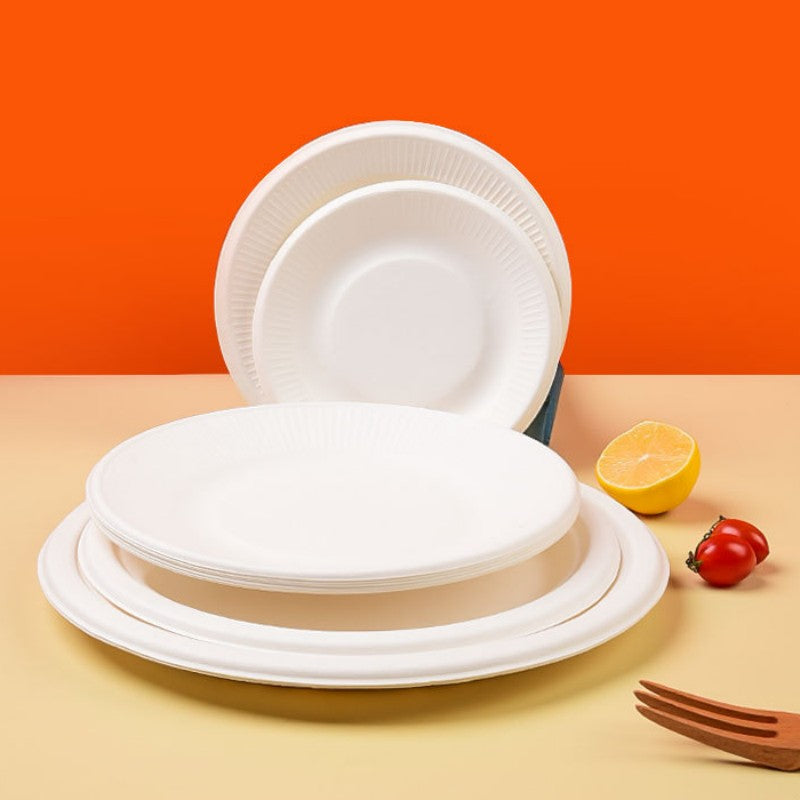 Disposable DIY Paper Plates for Painting / Birthday Party Decor / Dess ...