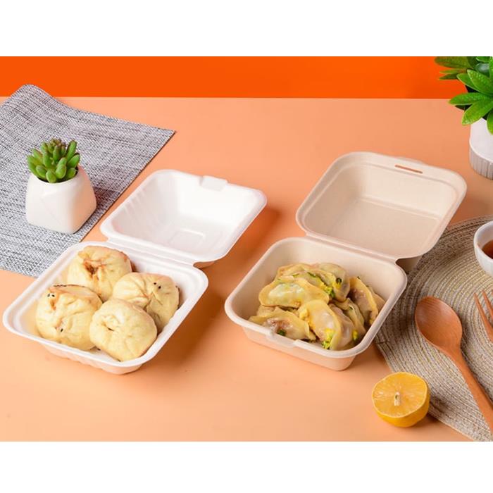 Disposable Square Clamshell Food Container for Takeout Food ...